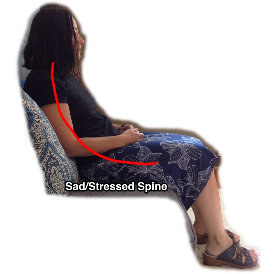 Don’t Catch this “Disease” – Find Out How – Bergen Family Chiropractic